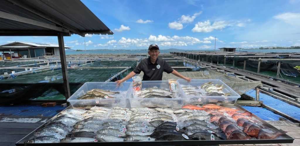 In Conversation With: Malcolm Ong, founder of The Fish Farmer ...
